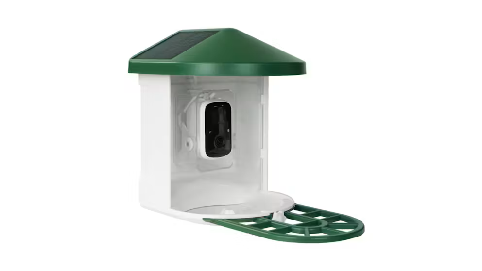 Best Bird Feeders with Camera (2026) – Watch Backyard Birds Live